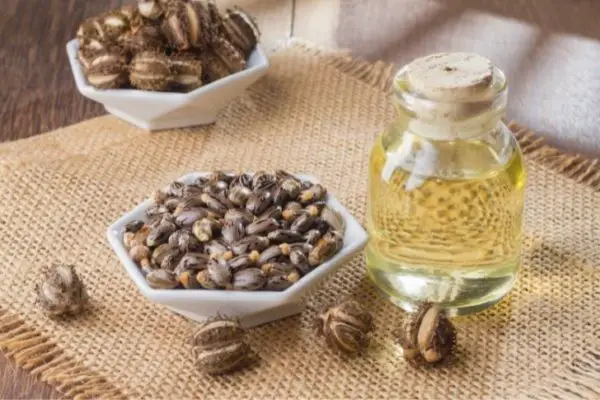 Cómo Hacer Aceite de Ricino: Receta Paso a Paso Cómo Hacer Aceite de Ricino: Receta Paso a Paso